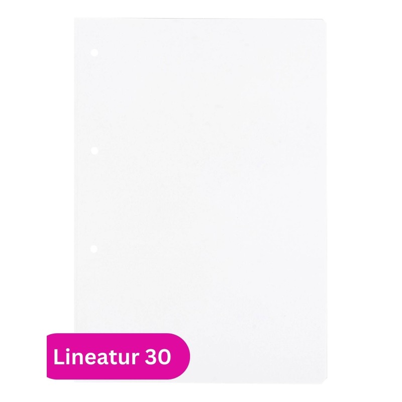 Landré Schulheft A4 · Lineatur 30 · 80 g/m² · 16 Blatt